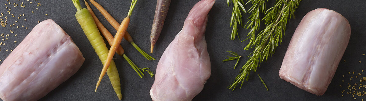 Lapin - Le blog - Ollca